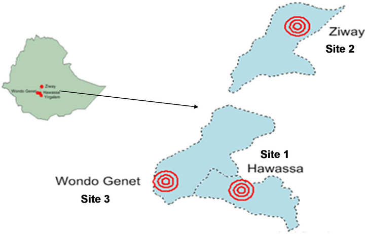 Soil Properties, and Soil Organic Carbon Stocks of Tropical Andosol ...
