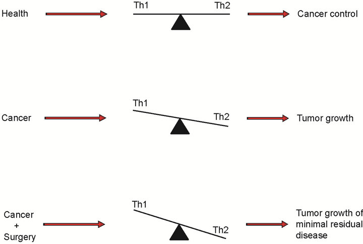 Perioperative Clinical Interventions That Modify the Immune Response in ...