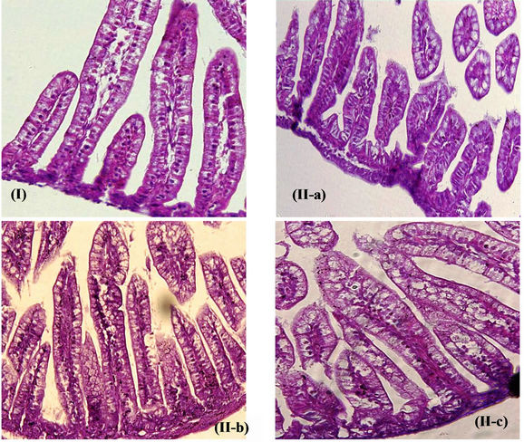 Evaluation of Hyperimmune Hen Egg Yolk Derived Anti-Human Rotavirus ...