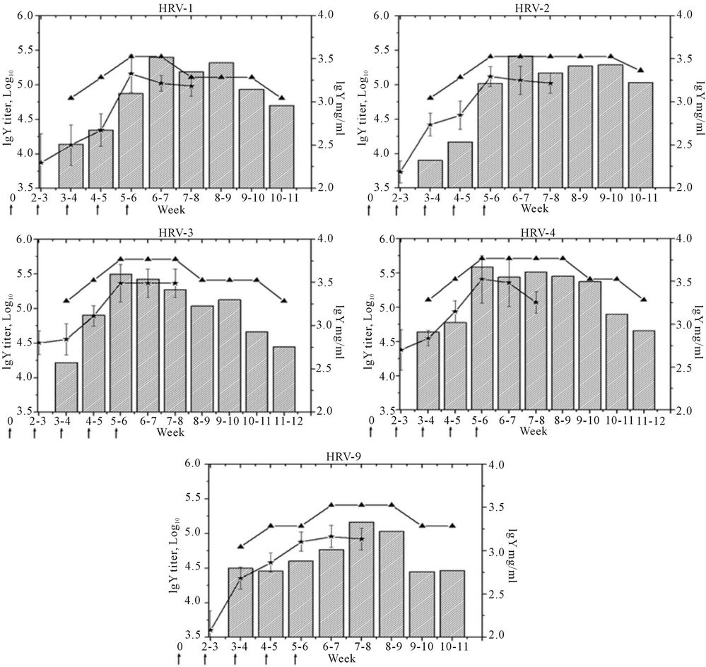 Evaluation of Hyperimmune Hen Egg Yolk Derived Anti-Human Rotavirus ...