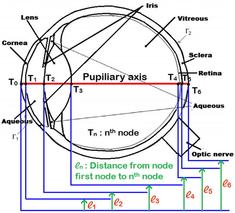 FEM Approach for Transient Heat Transfer in Human Eye