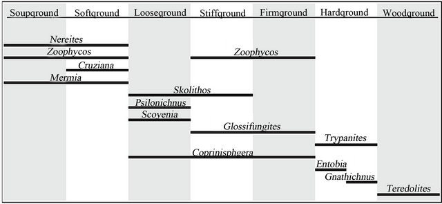 Continental Trace Fossils in the Semnan Area (Northern Iran)