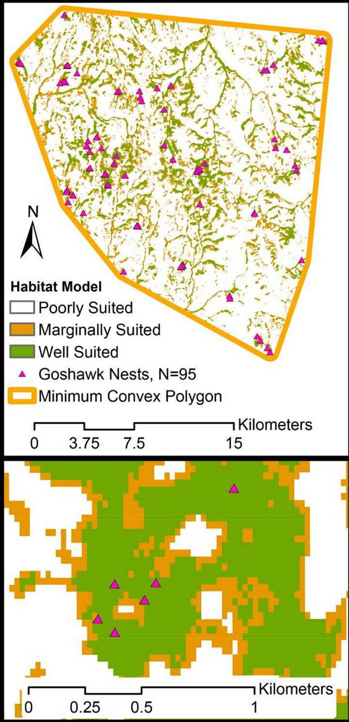 Predicting nesting habitat of Northern Goshawks in mixed aspen ...