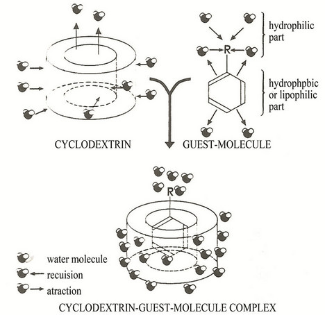 Effect of Cyclodextrin Complexation on the Aqueous Solubility of ...