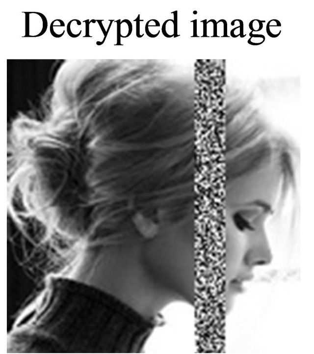 A Self Adaptive Parallel Encryption Algorithm Based On Discrete 2d Logistic Map