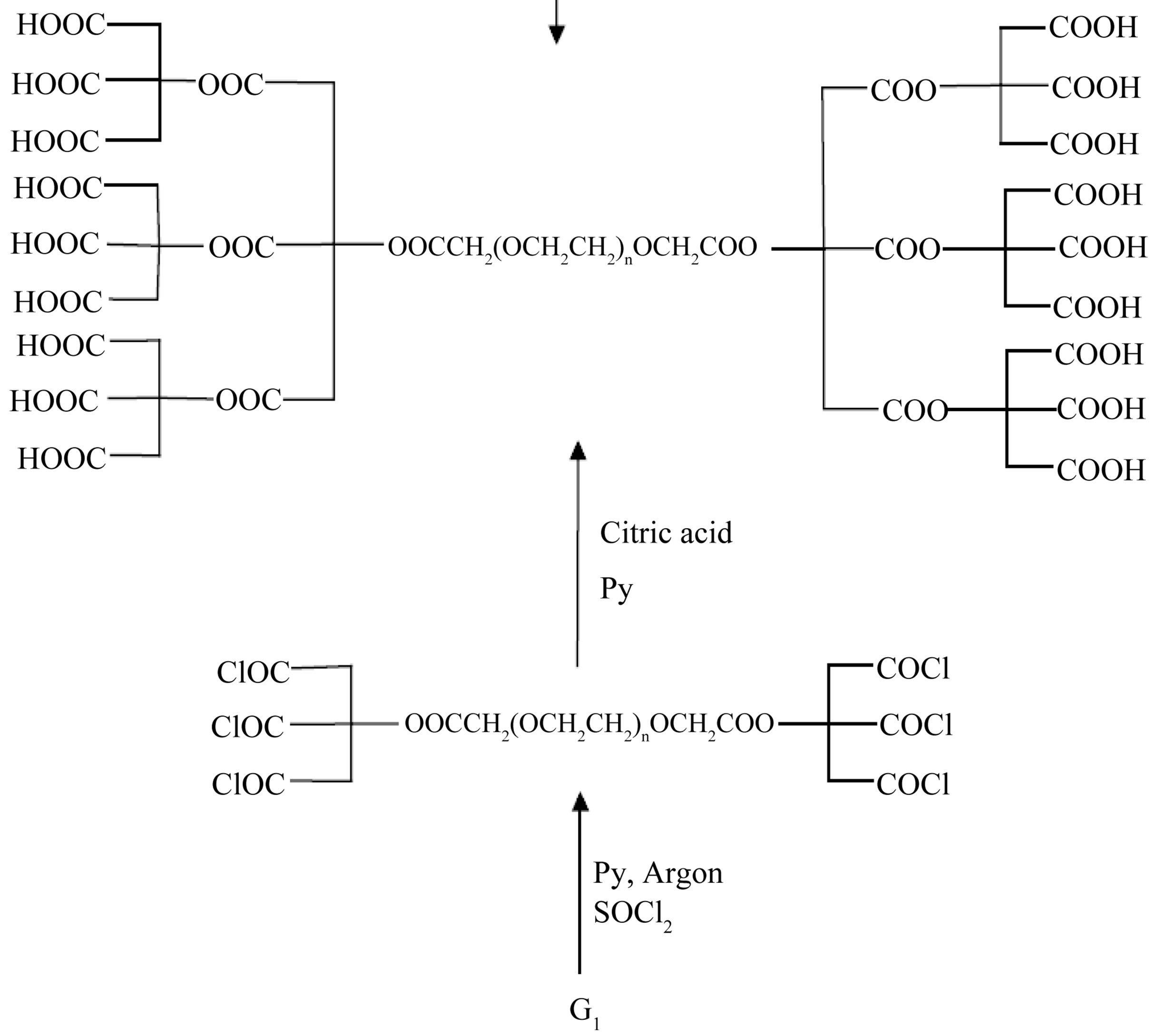 Synthesis and Development of Gd3+-ALGDG2-C595 as MR Imaging Contrast Agent