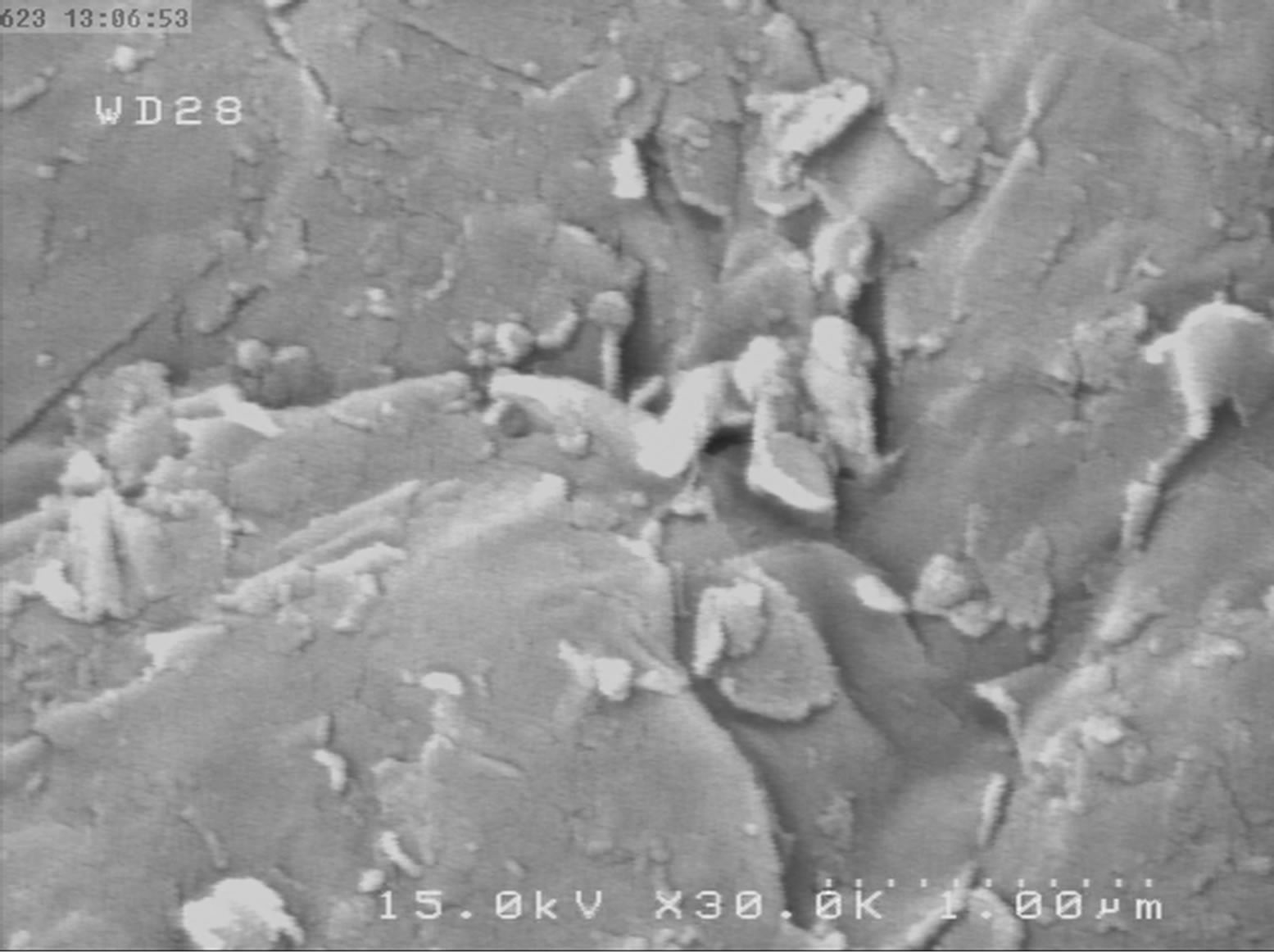 Study of Physical, Chemical and Morphological Alterations of Smectite ...