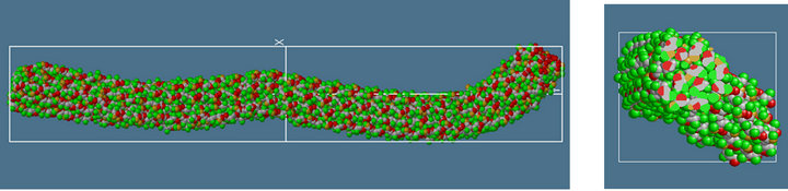 Structure and Mechanical Behavior of Cellulose Nanofiber and Micro ...