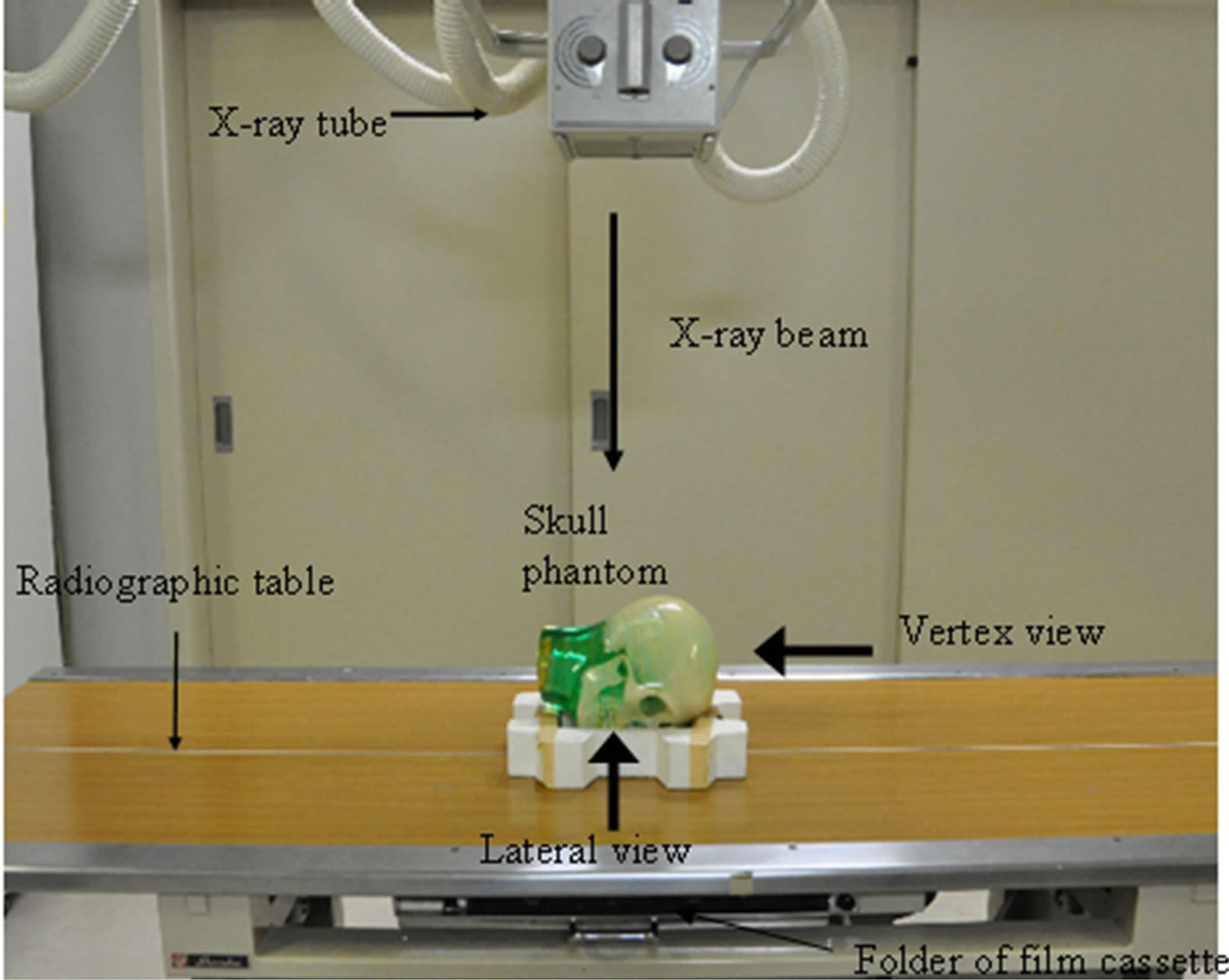 Positioning Training Tool for Radiography