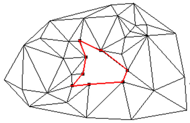 Study on Delaunay Triangulation with the Islets Constraints