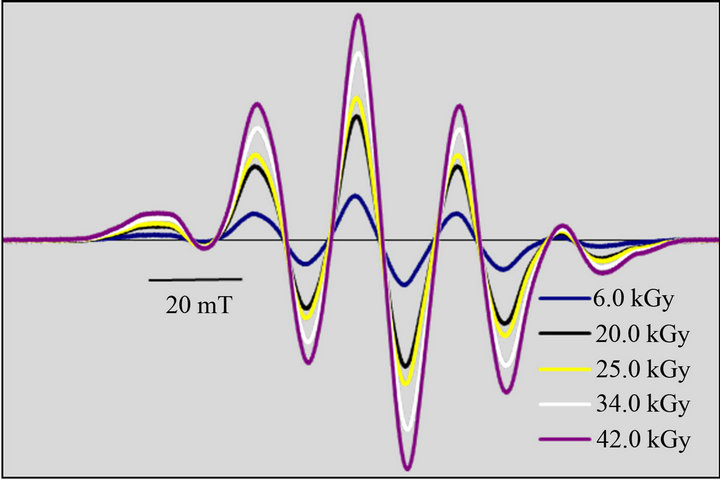 Simple EPR/Alanine Dosimeter for Medical Application