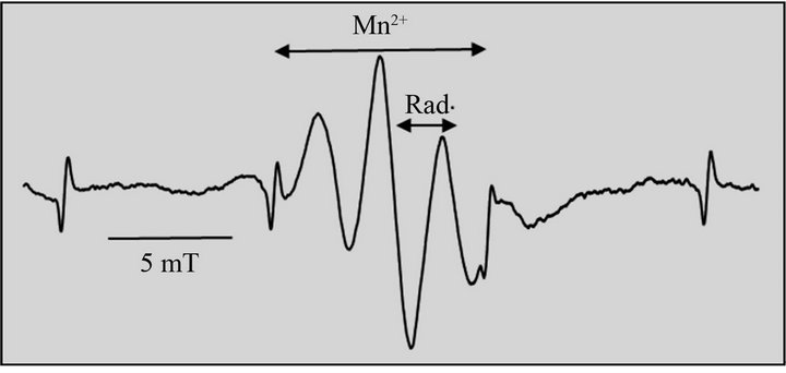 Simple EPR/Alanine Dosimeter for Medical Application