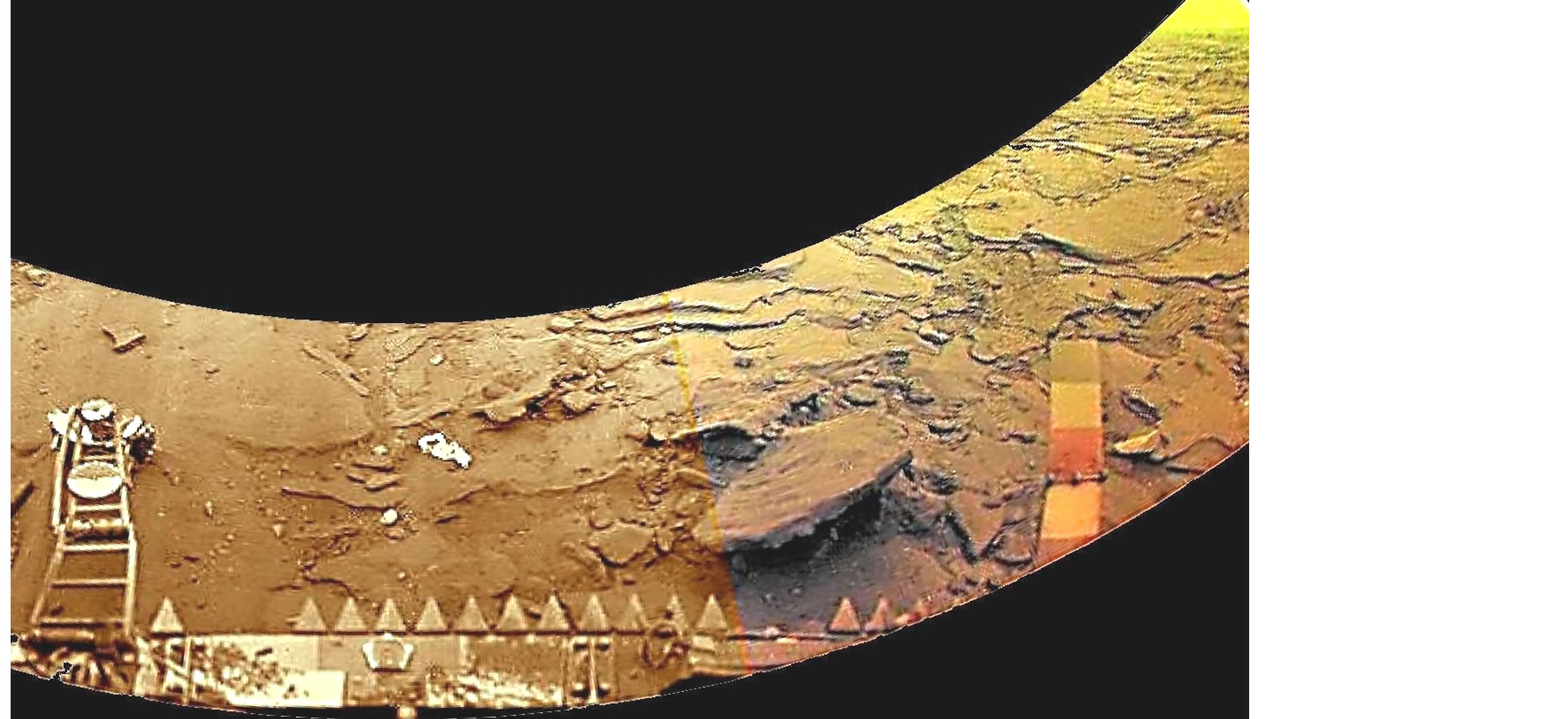 “Snake”: New Object of Hypothetical Venusian Fauna