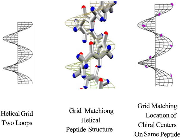 More precise model of α -helix and transmembrane α -helical peptide ...