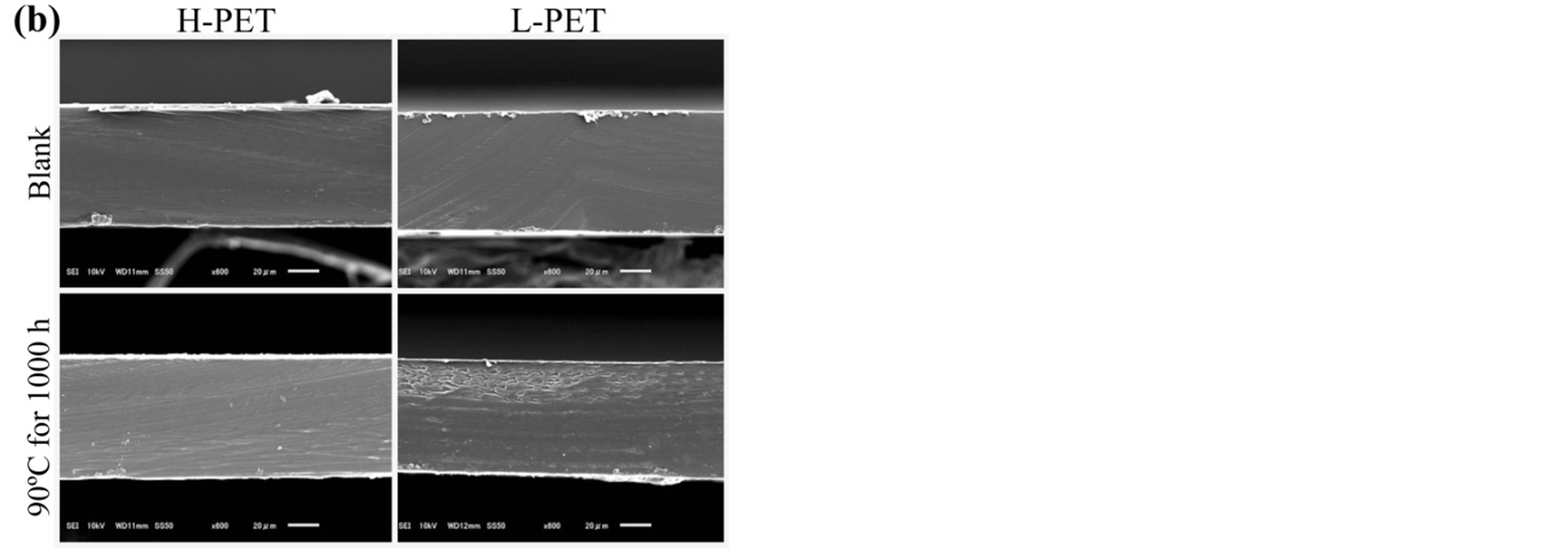 Evaluation of Degradation of PET Film by Partial Discharge Method