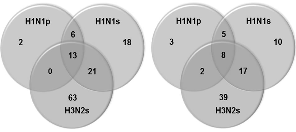 Genome-wide comparison inferred the origin and evolution of B-cell ...