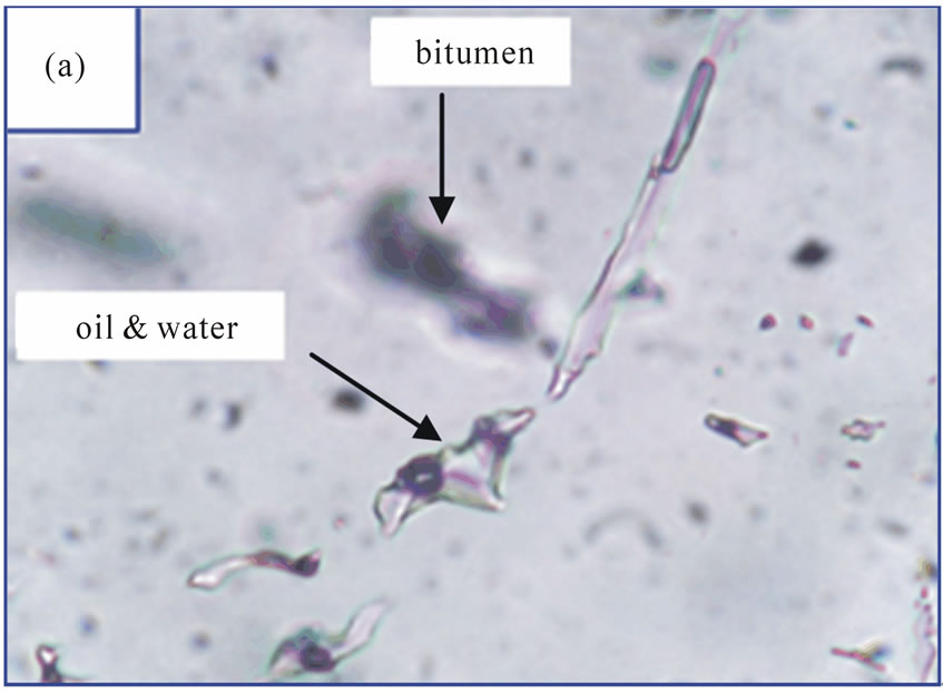 Fluid Inclusions Usage for Assessing Oil Migration in Duhok, North Iraq