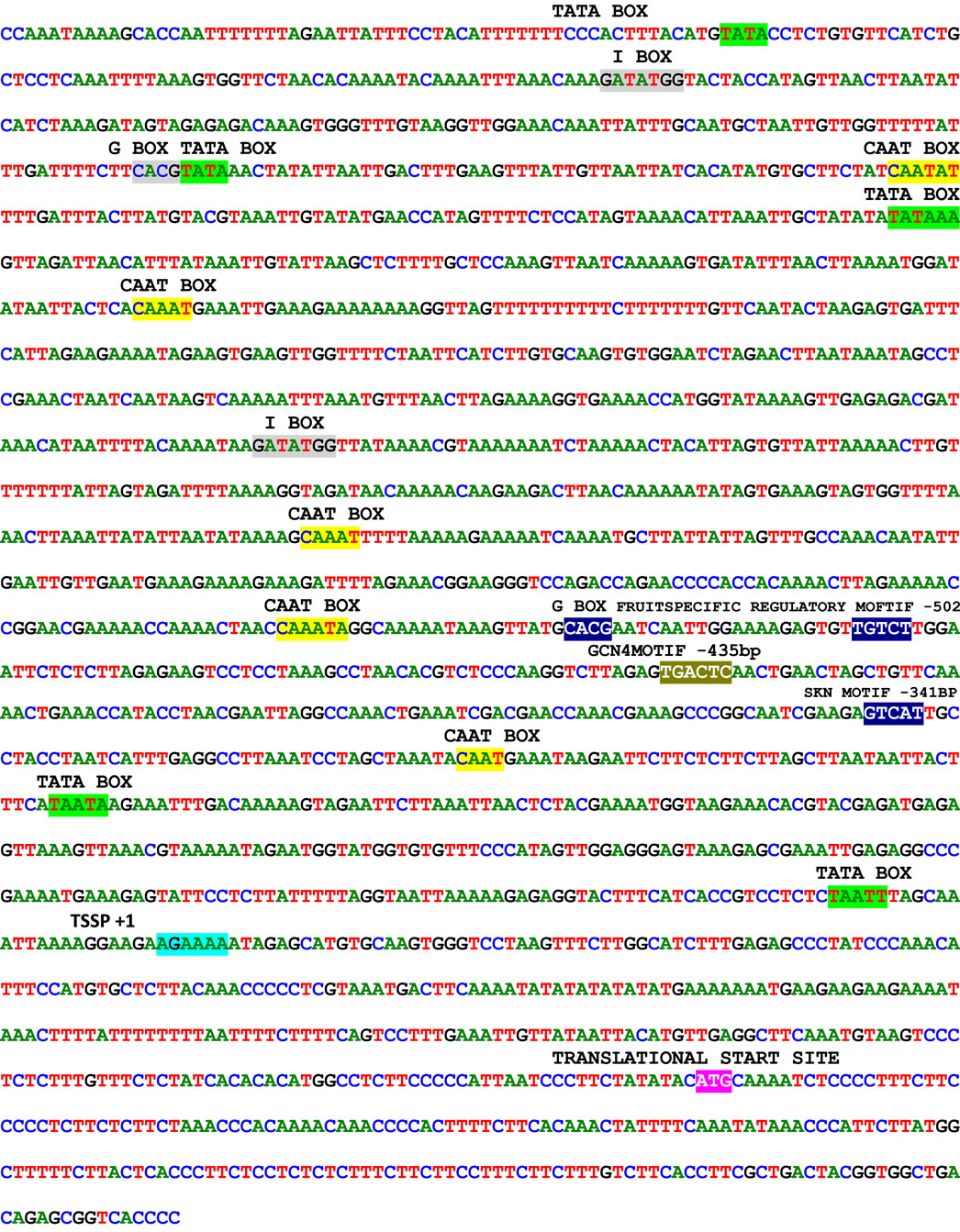 Molecular cloning and characterization of fruit specific promoter from ...