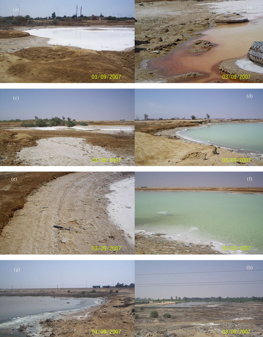 Environmental and Mineralogical Studies of the Sabkhas Soil at Ismailia ...