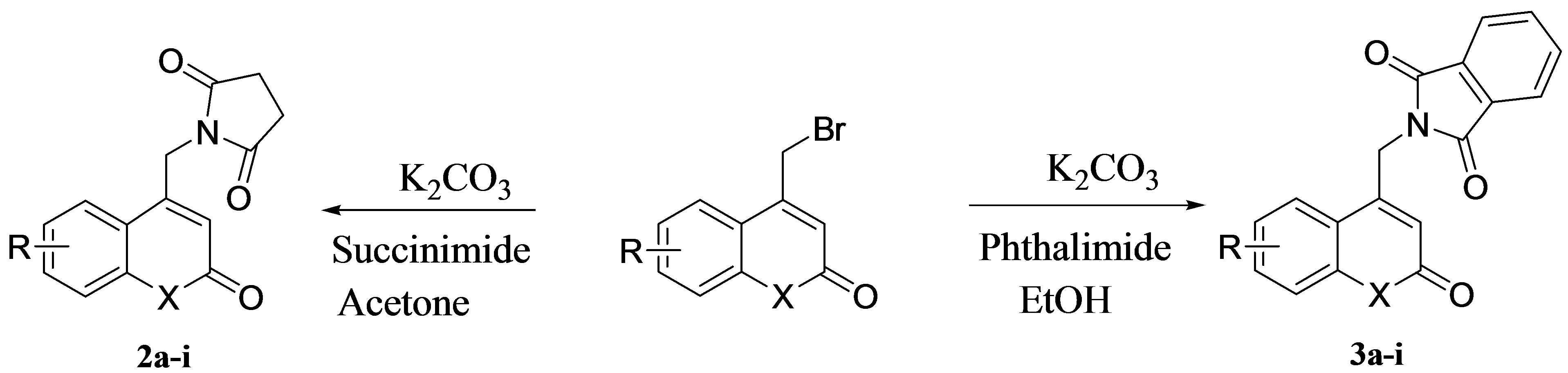Synthesis and Biological Evaluation of Cyclic Imides with Coumarins and ...