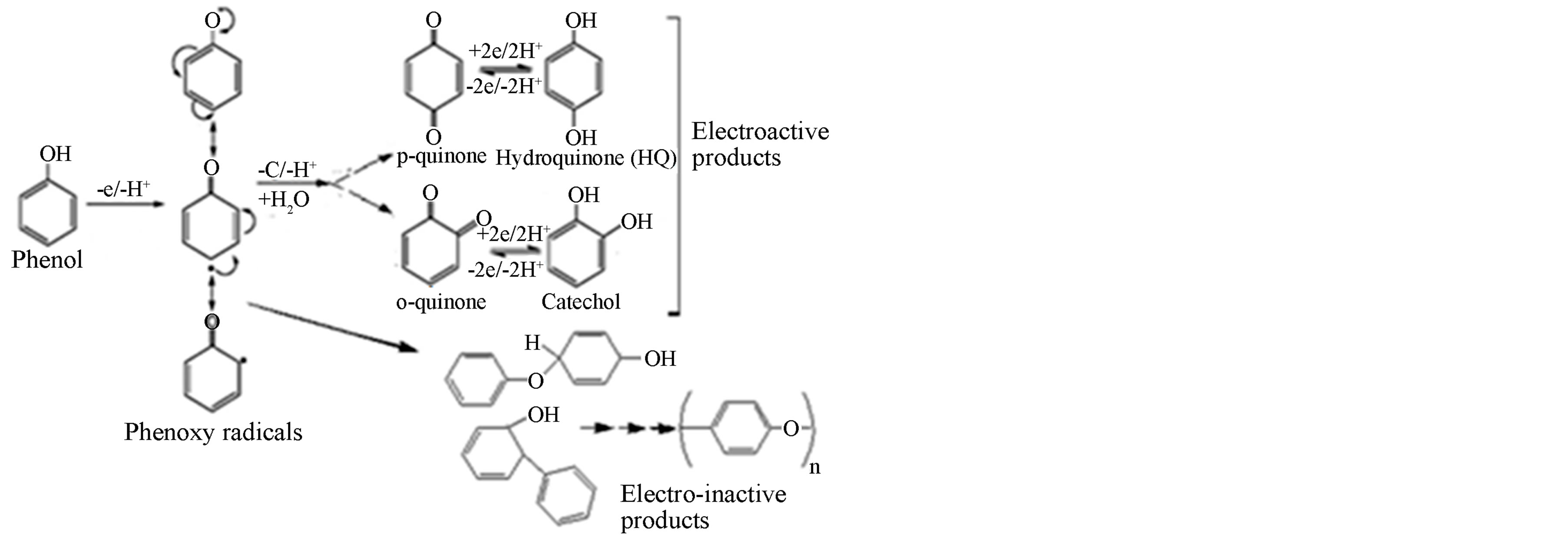 Flow Injection Amperometric Determination of Phenol and Chlorophenols ...