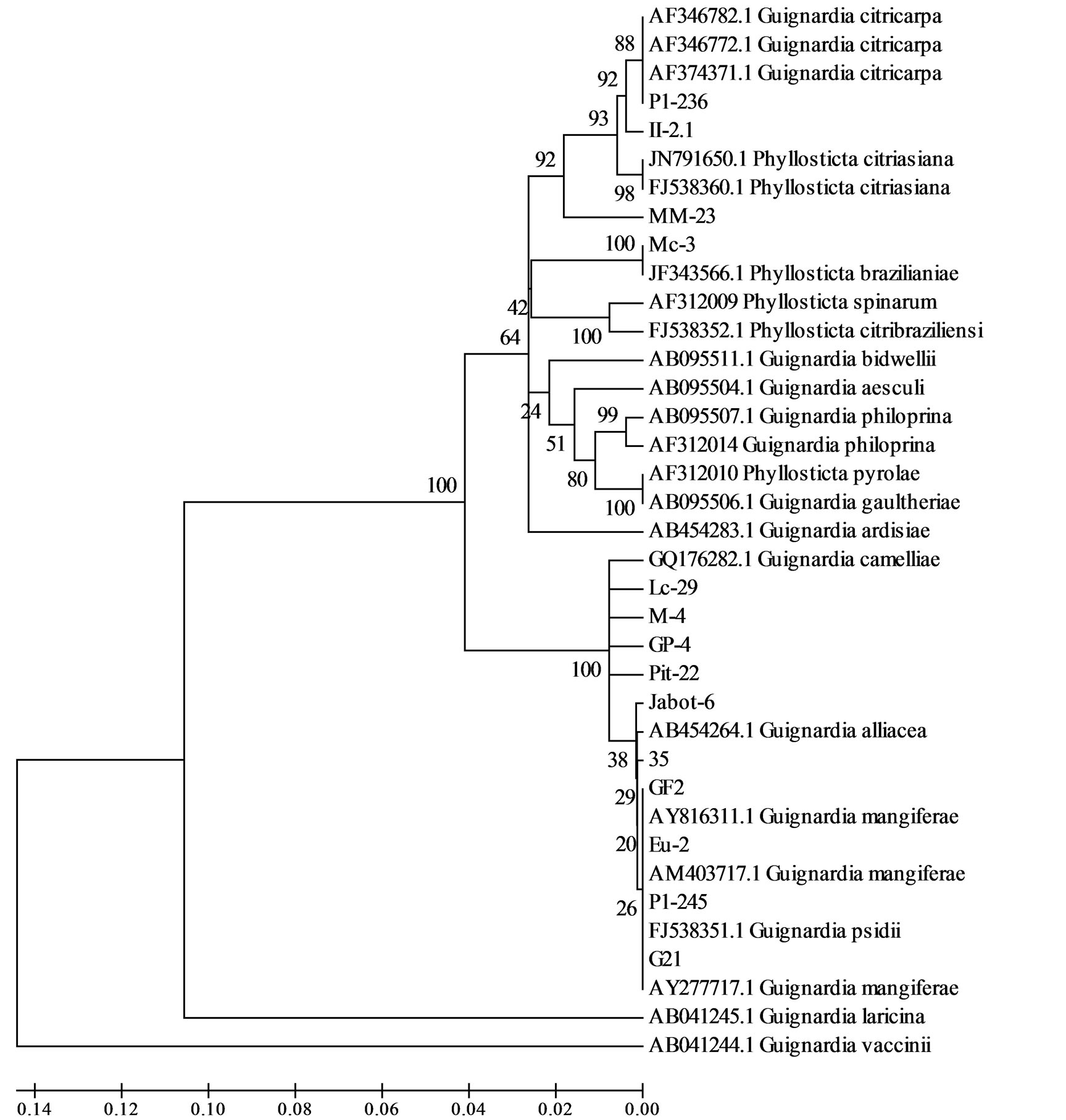 Molecular and Pathogenic Study of Guignardia spp. Isolates Associated ...