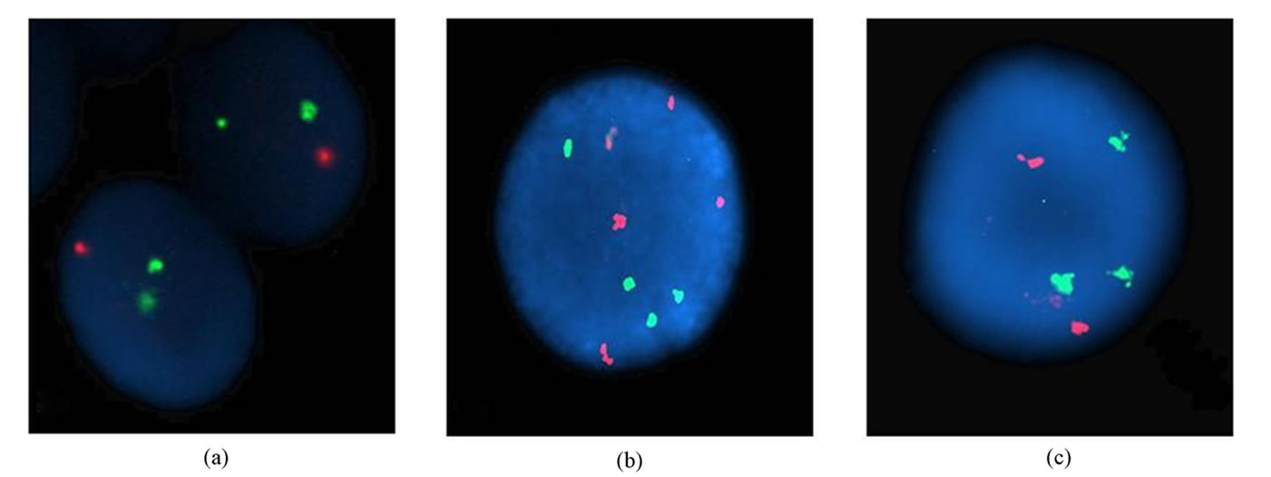 Applications of Fluorescence in Situ Hybridization (FISH) for Detecting ...