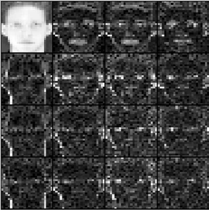 Face Recognition Based on Wavelet Packet Coefficients and Radial Basis Function Neural Networks