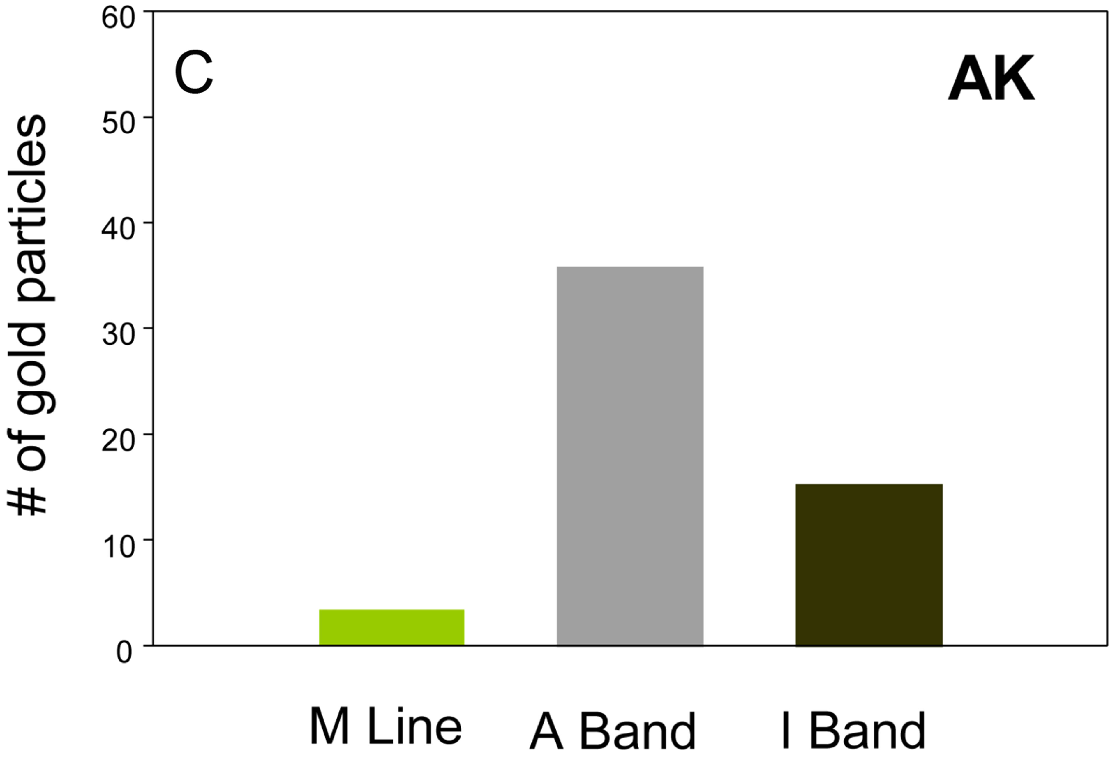 Characterization of the Intracellular Distribution of Adenine ...