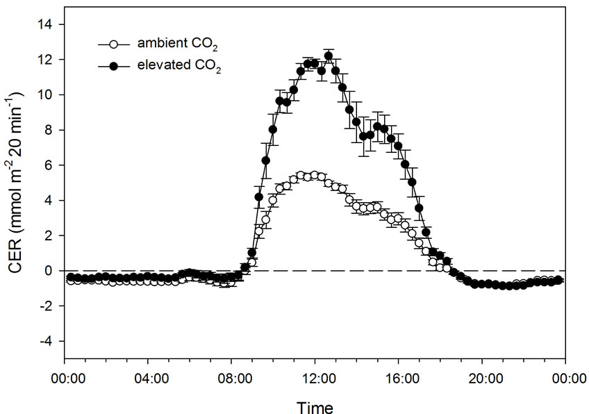 The Effect of Low Night and High Day Temperatures on Photosynthesis in ...