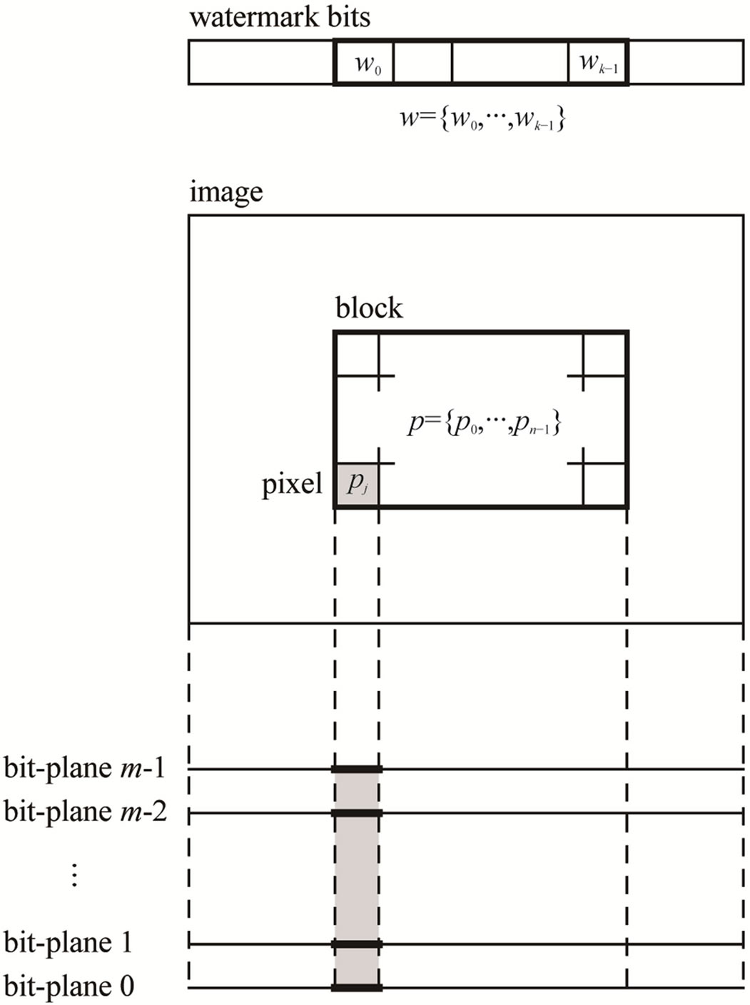 Enhancement of Error-Correction Coding of Spatial Watermarks in Gray Code