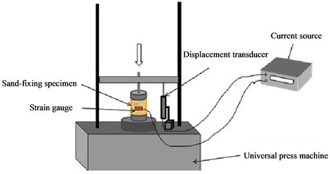 Study of Mechanism of the W-OH Sand Fixation