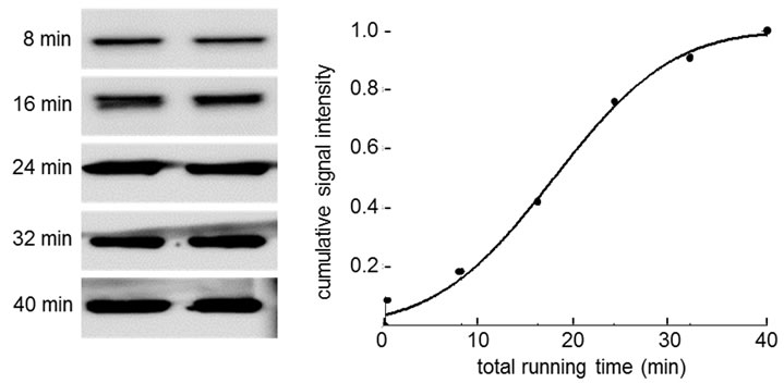 Voltage profile generation for simultaneous multi-protein detection in ...