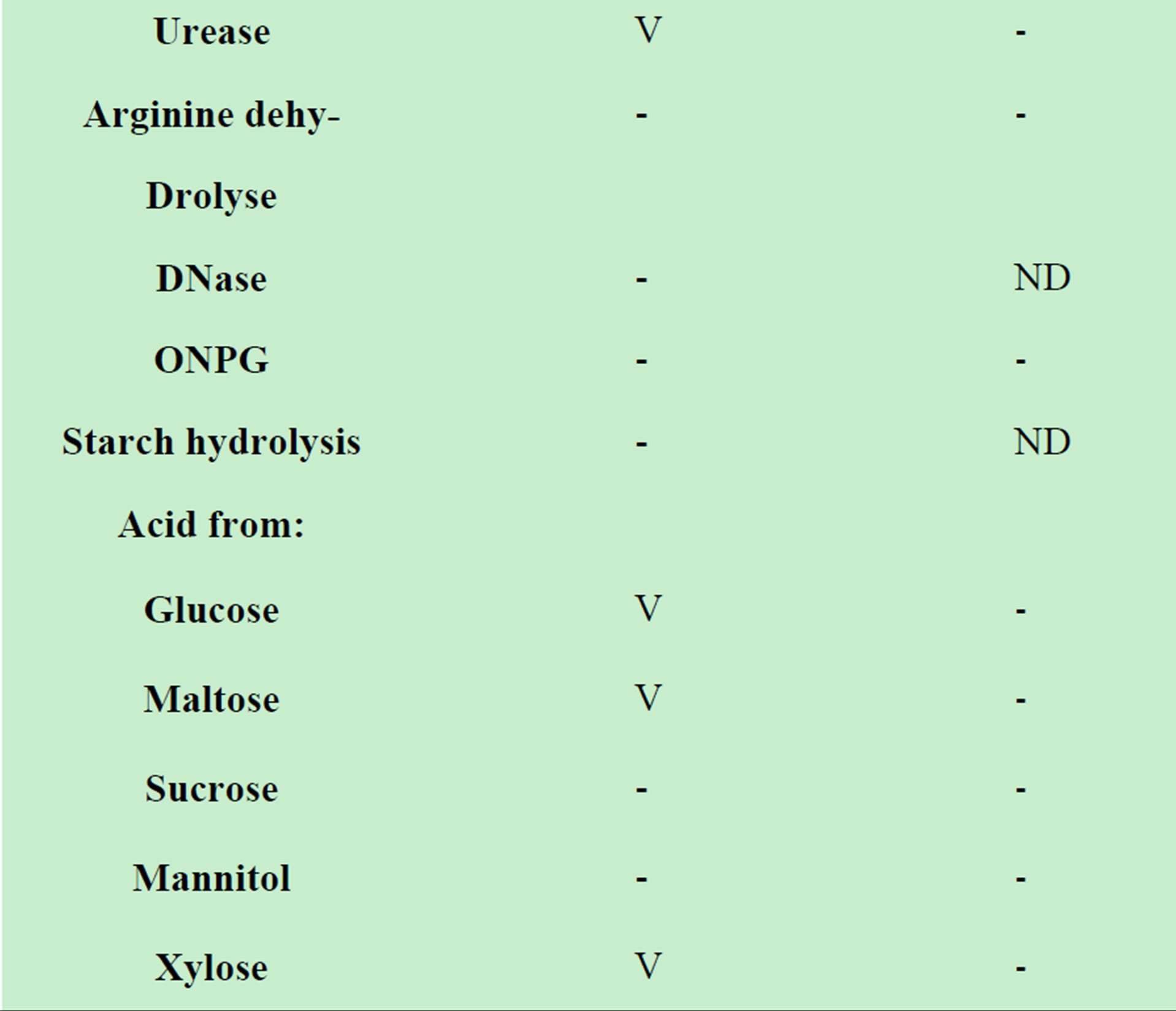 Non-Fermentative Gram-Negative Bacteria in Drinking Water