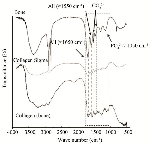 Thermal, infrared spectroscopy and molecular modeling characterization ...