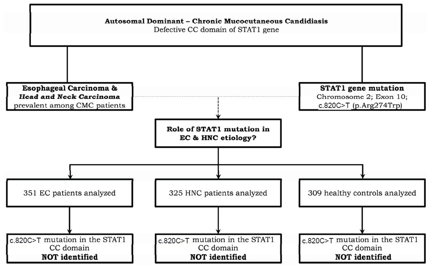 STAT 1 gene mutation is not implicated in upper aerodigestive cancers