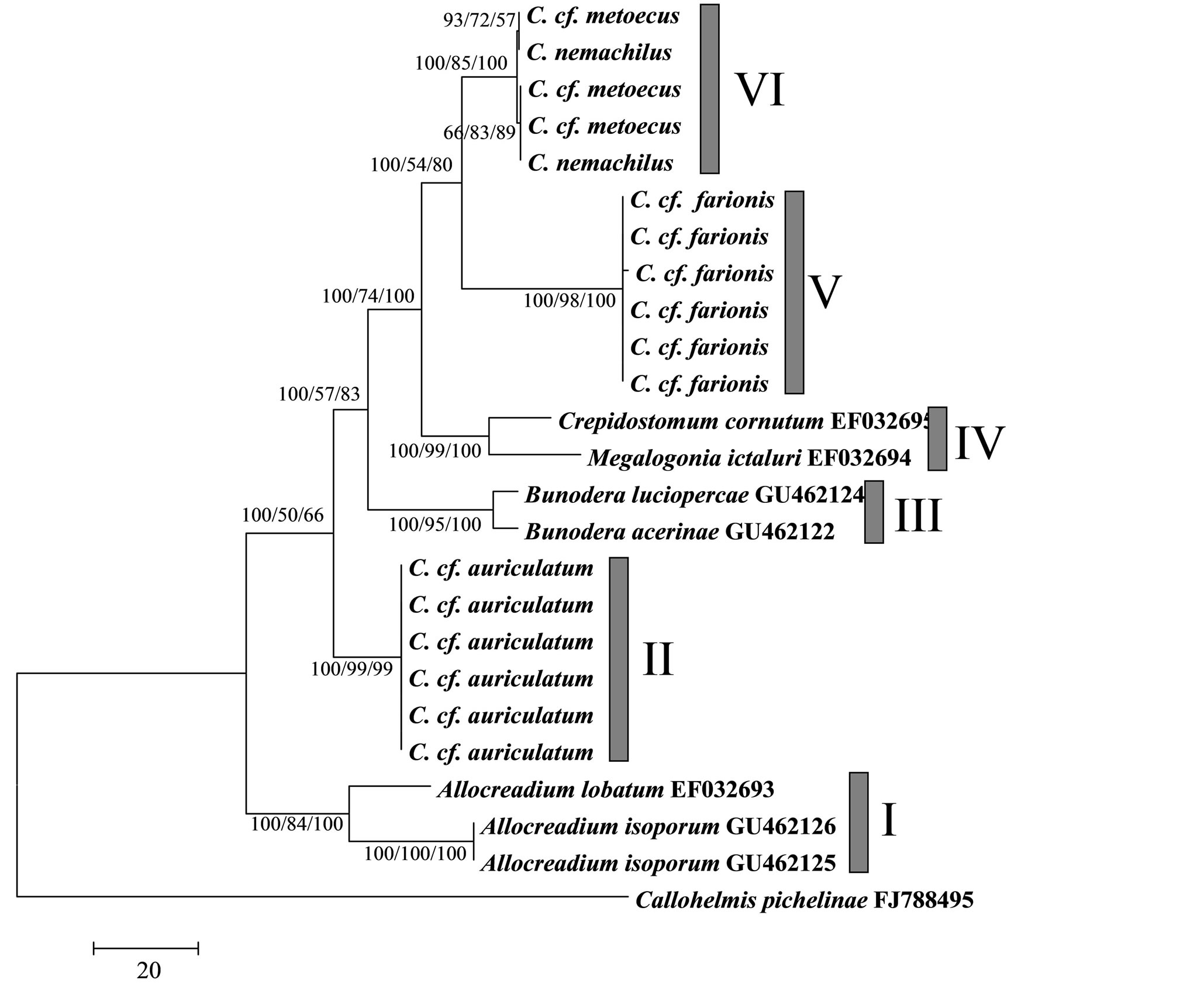 Genetic characterization of far eastern species of the genus ...