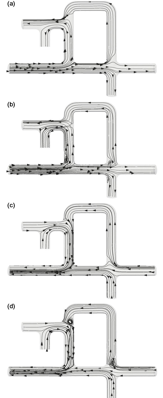Effects of air sac compliances on flow in the parabronchi ...