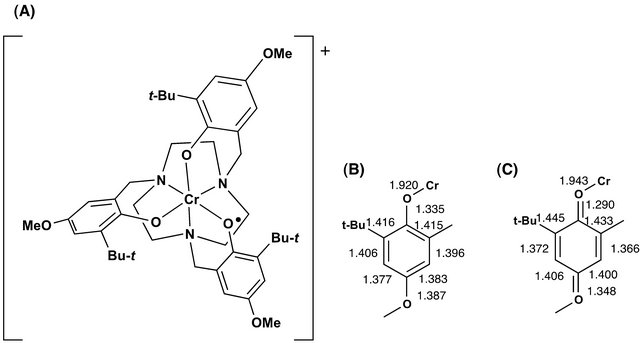 Recent Advances in X-Ray Structures of Metal-Phenoxyl Radical Complexes