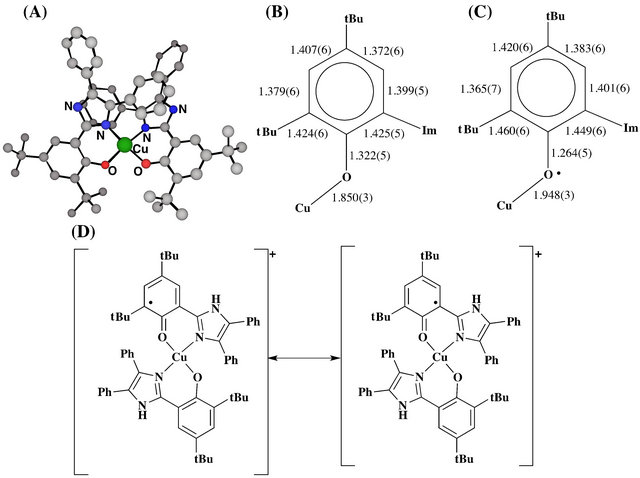 Recent Advances in X-Ray Structures of Metal-Phenoxyl Radical Complexes