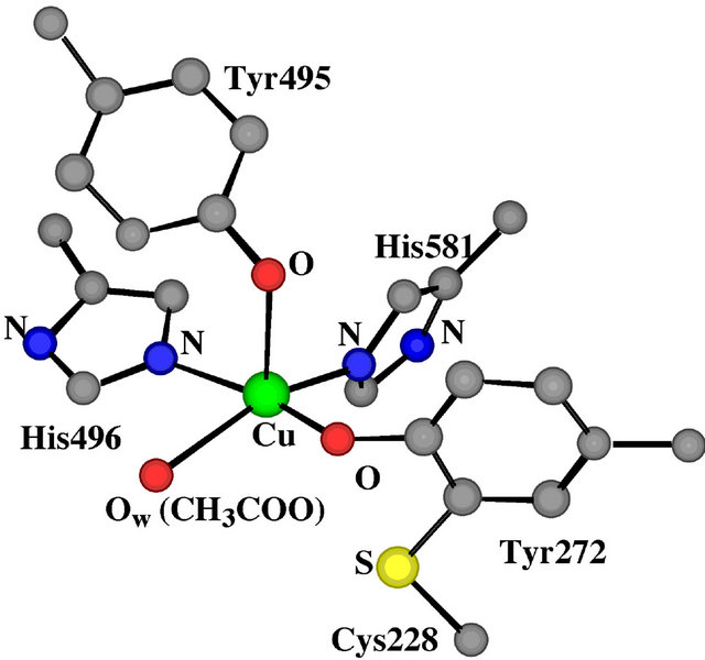 Recent Advances in X-Ray Structures of Metal-Phenoxyl Radical Complexes