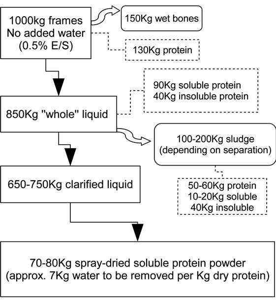 Enzymatic Hydrolysis of Fish Frames Using Pilot Plant Scale Systems