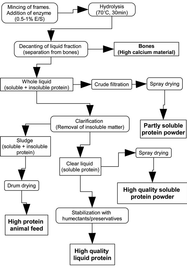 Enzymatic Hydrolysis of Fish Frames Using Pilot Plant Scale Systems