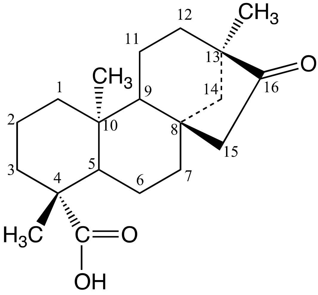 Biological Template Based on ent-Kaurane Diterpenoid Glycosides for the ...