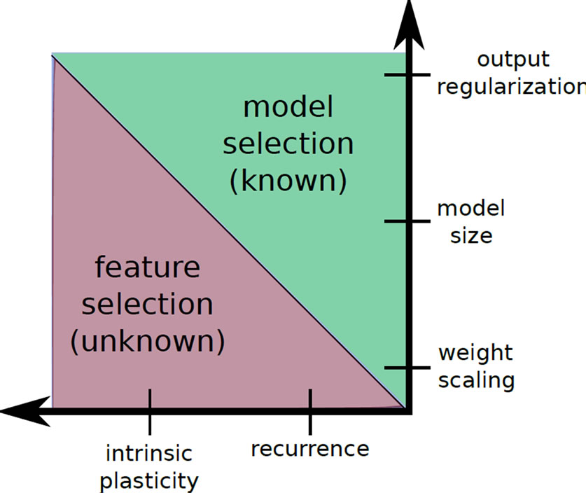 Regularization by Intrinsic Plasticity and Its Synergies with ...