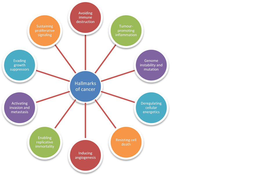 Missing the Target?—Targeted Therapy in Small Cell Lung Cancer