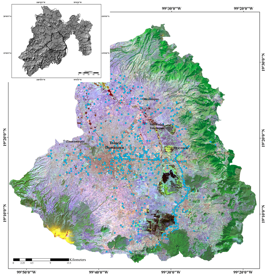 Multi-Temporal Analysis of Land Subsidence in Toluca Valley (Mexico ...