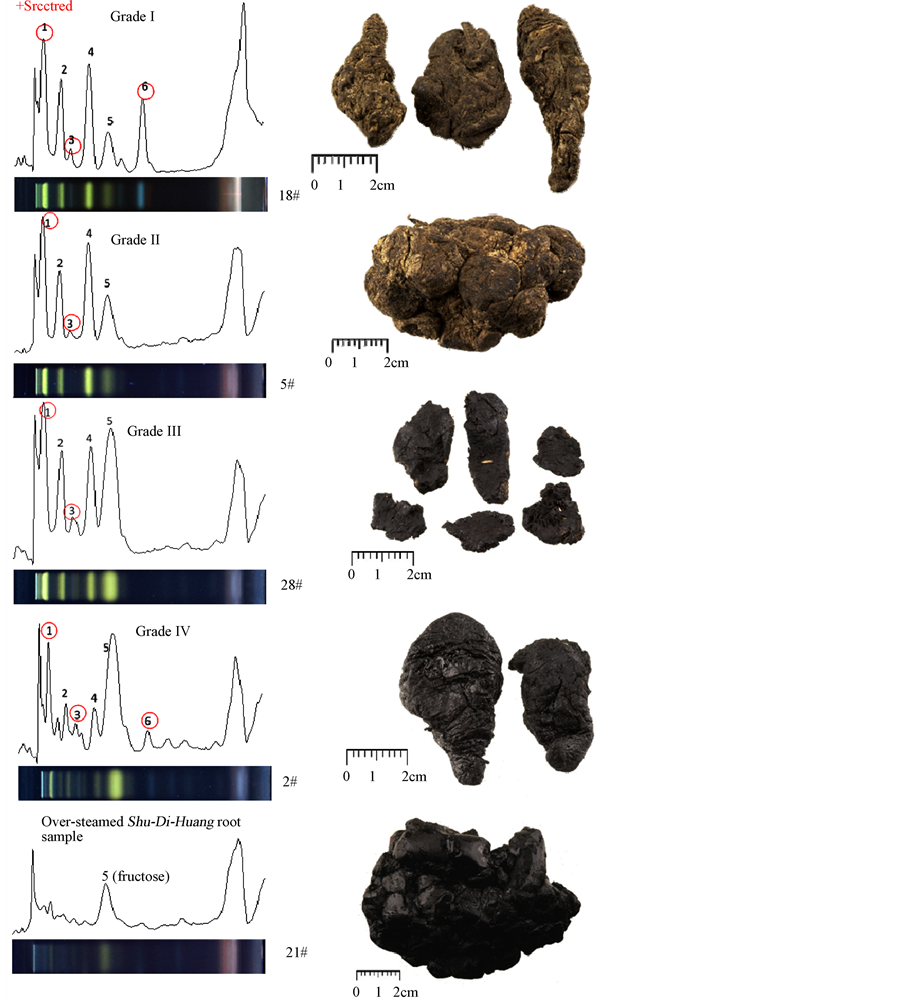 Searching Clue of the Relationship between the Alteration of Bioactive ...