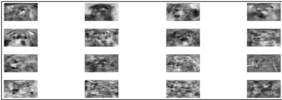 Biometric Recognition for Pet Animal