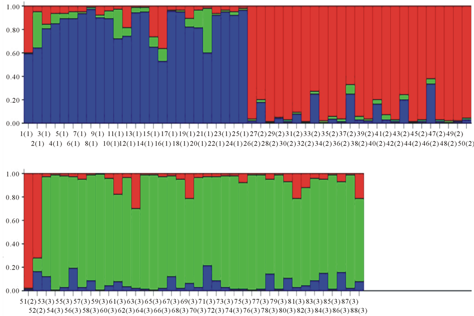 Genetic Diversity of Great Dane Breed Using Ten Microsatellites: Impact ...